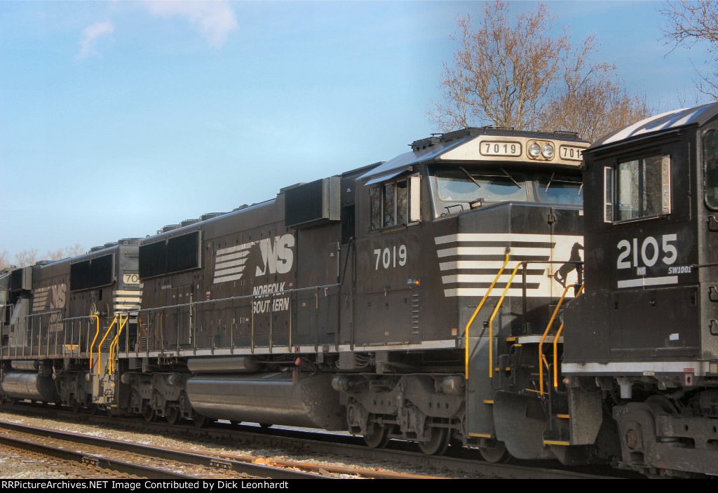 NS 7019